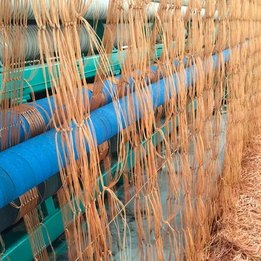 Seaweed Farming Net Price Comparison and Buying Advice - Qingdao ...